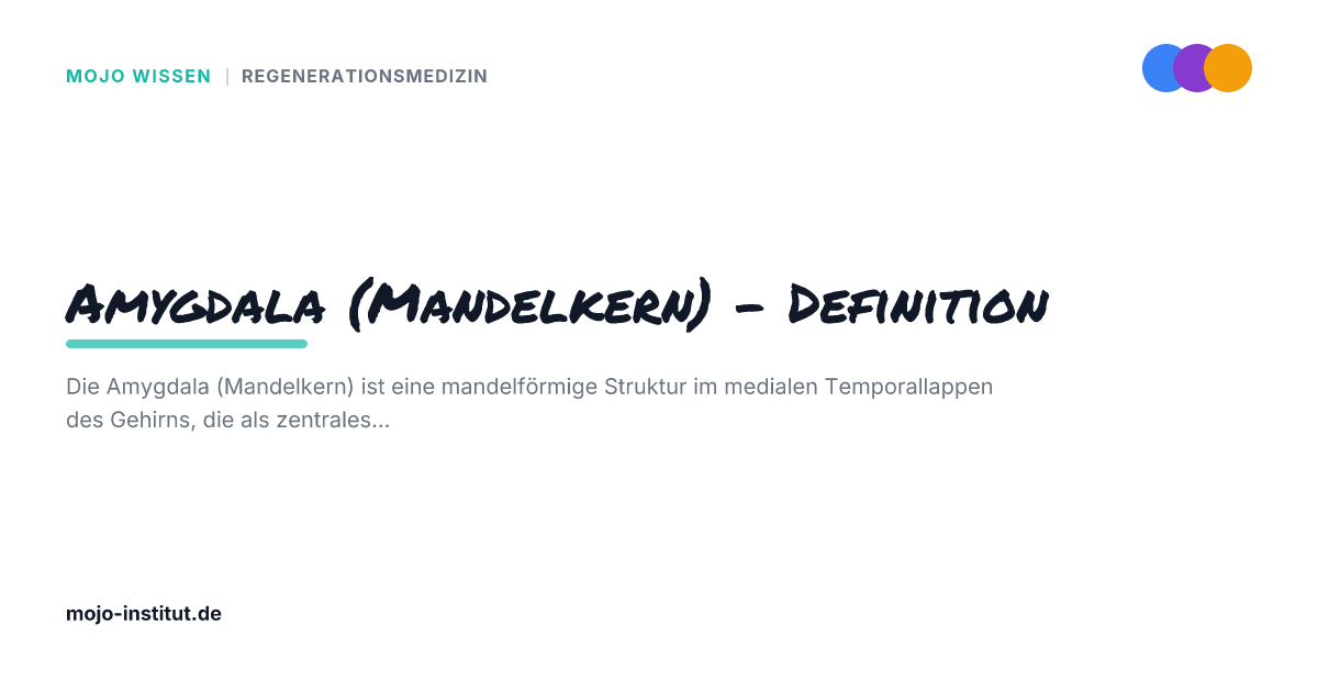 Amygdala (Mandelkern) - Definition | MOJO Wissen